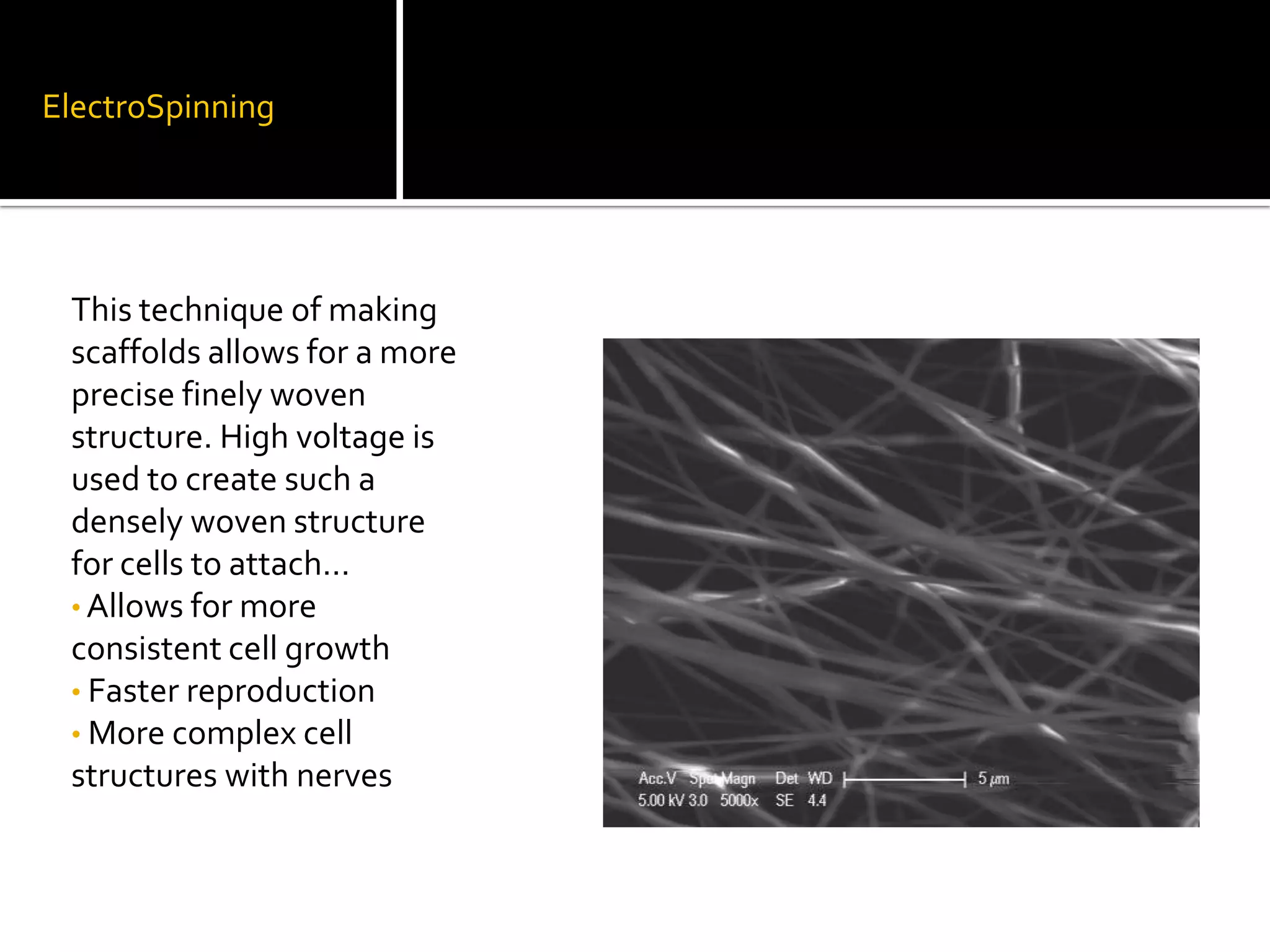 Tissue engineering | PPTX