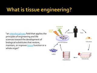 Tissue engineering | PPTX