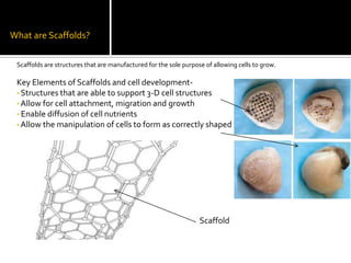Tissue engineering | PPTX