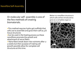 Tissue engineering | PPTX