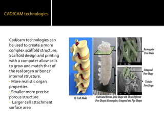 Tissue engineering | PPTX