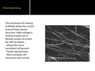 Tissue engineering | PPTX