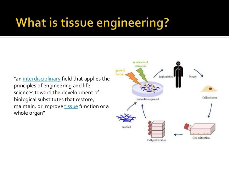 Tissue engineering