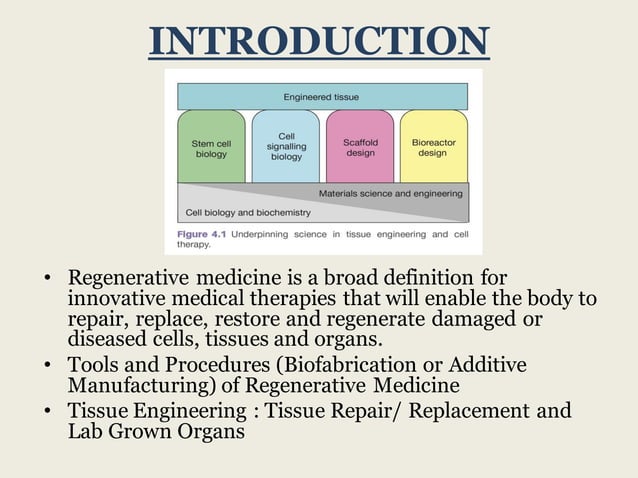 Tissue Engineering And Regeneration | PDF