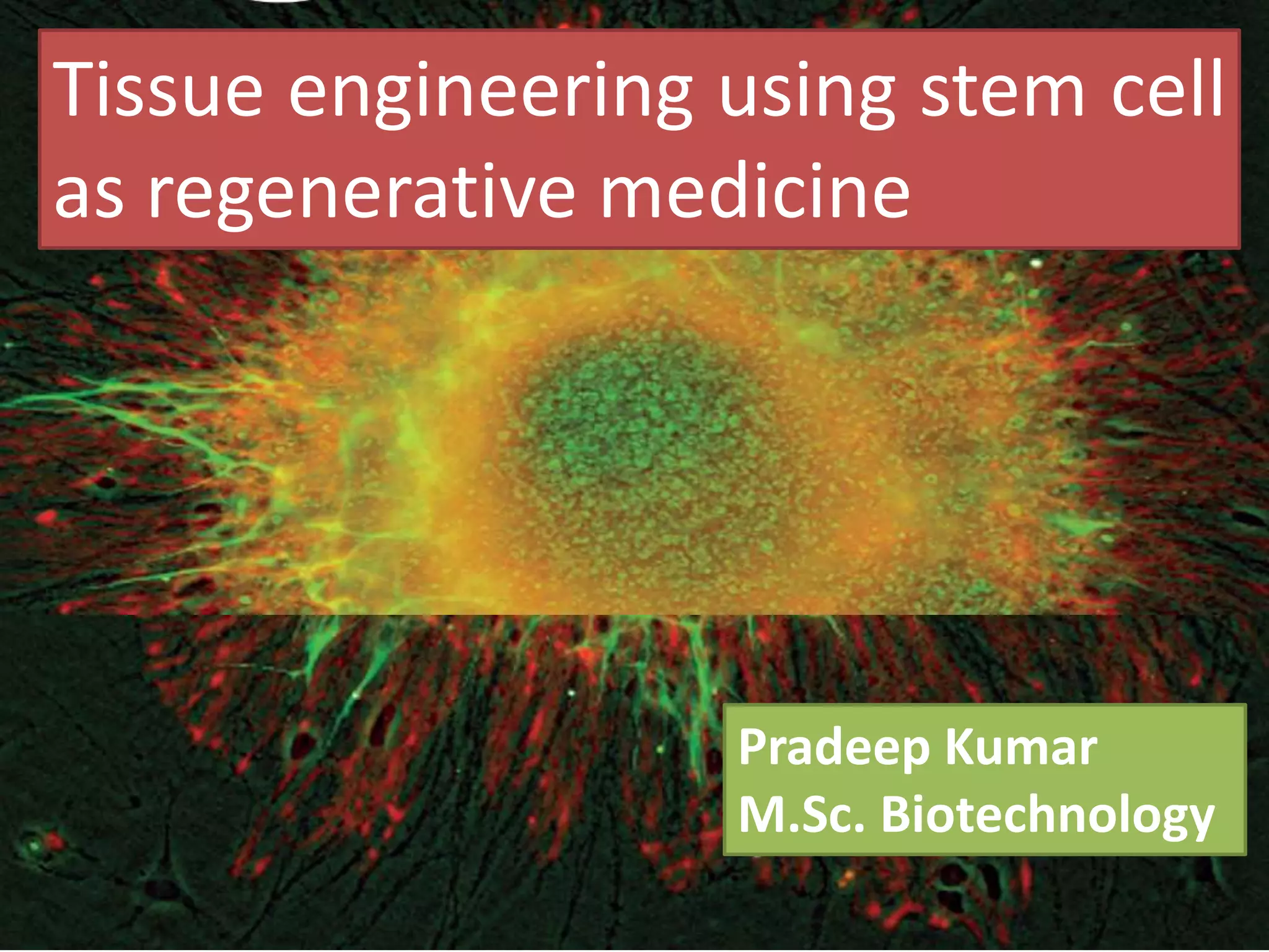 Tissue engineering and stem cell by regenerative medicine.pptx badal ...