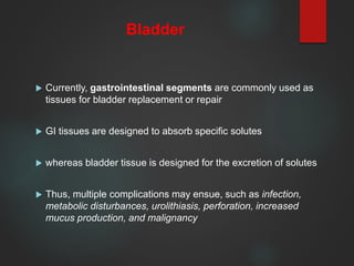 tissueengineeringapplicationsinurology-200716071252.pdf