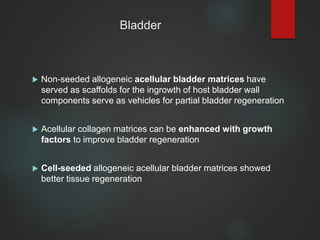 tissueengineeringapplicationsinurology-200716071252.pdf