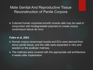 tissueengineeringapplicationsinurology-200716071252.pdf