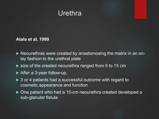 tissueengineeringapplicationsinurology-200716071252.pdf