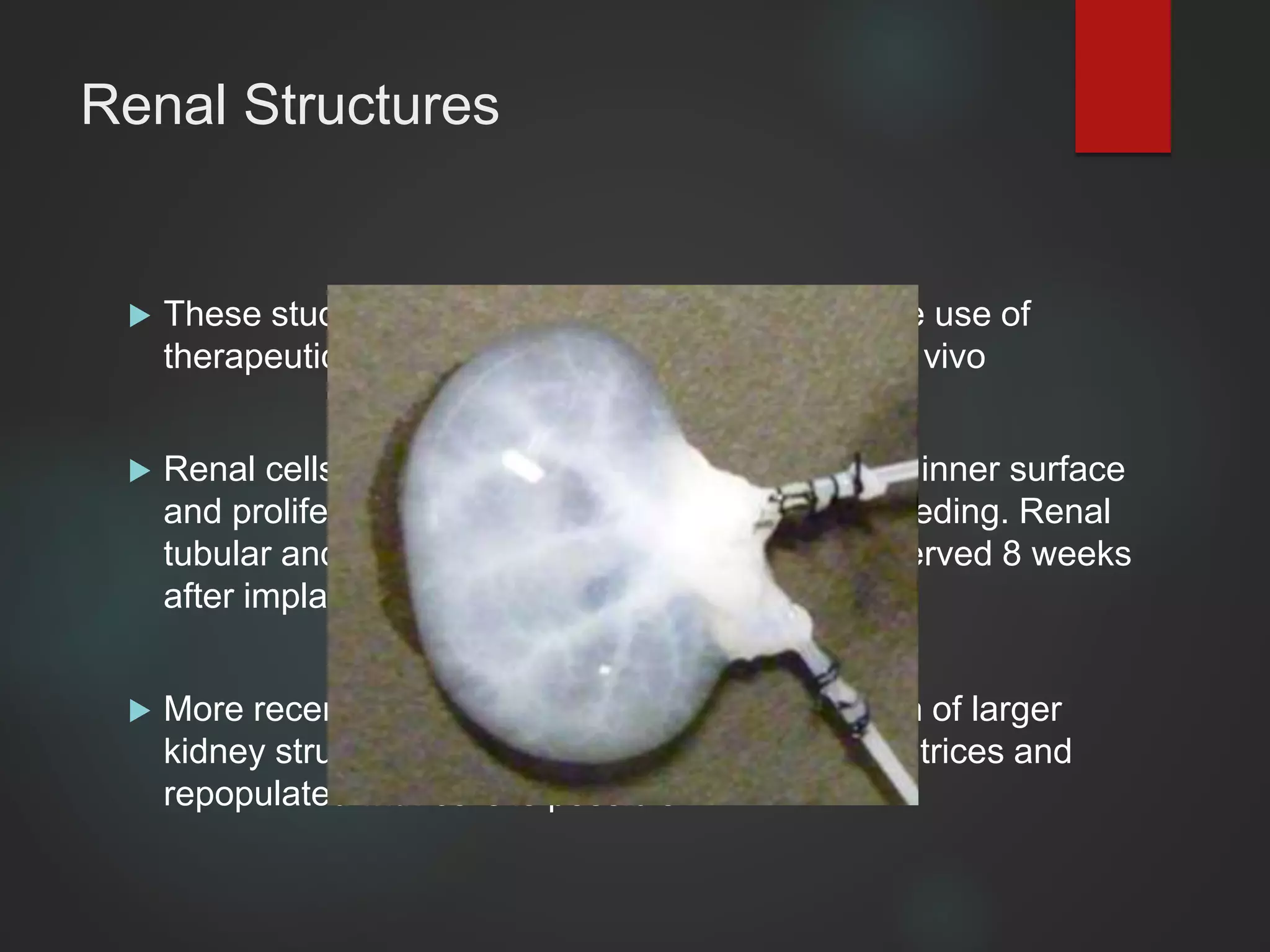 Tissue engineering applications in urology | PPTX