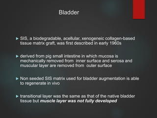Tissue engineering applications in urology | PPTX