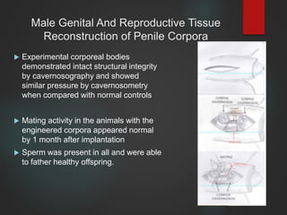 Tissue engineering applications in urology | PPTX