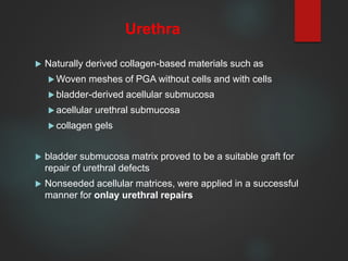 Tissue engineering applications in urology | PPTX
