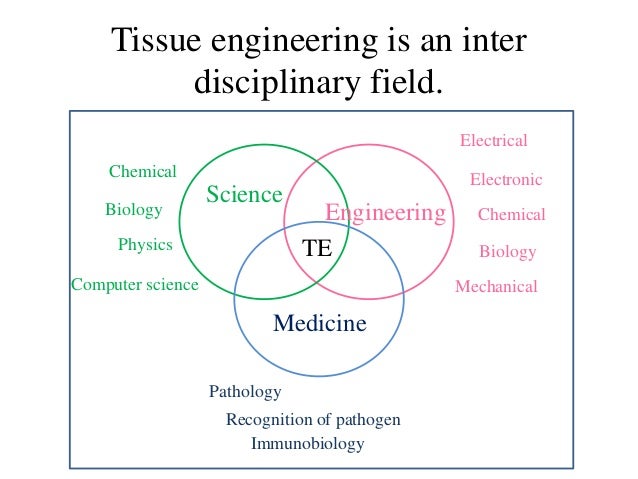 Tissue engineering 101