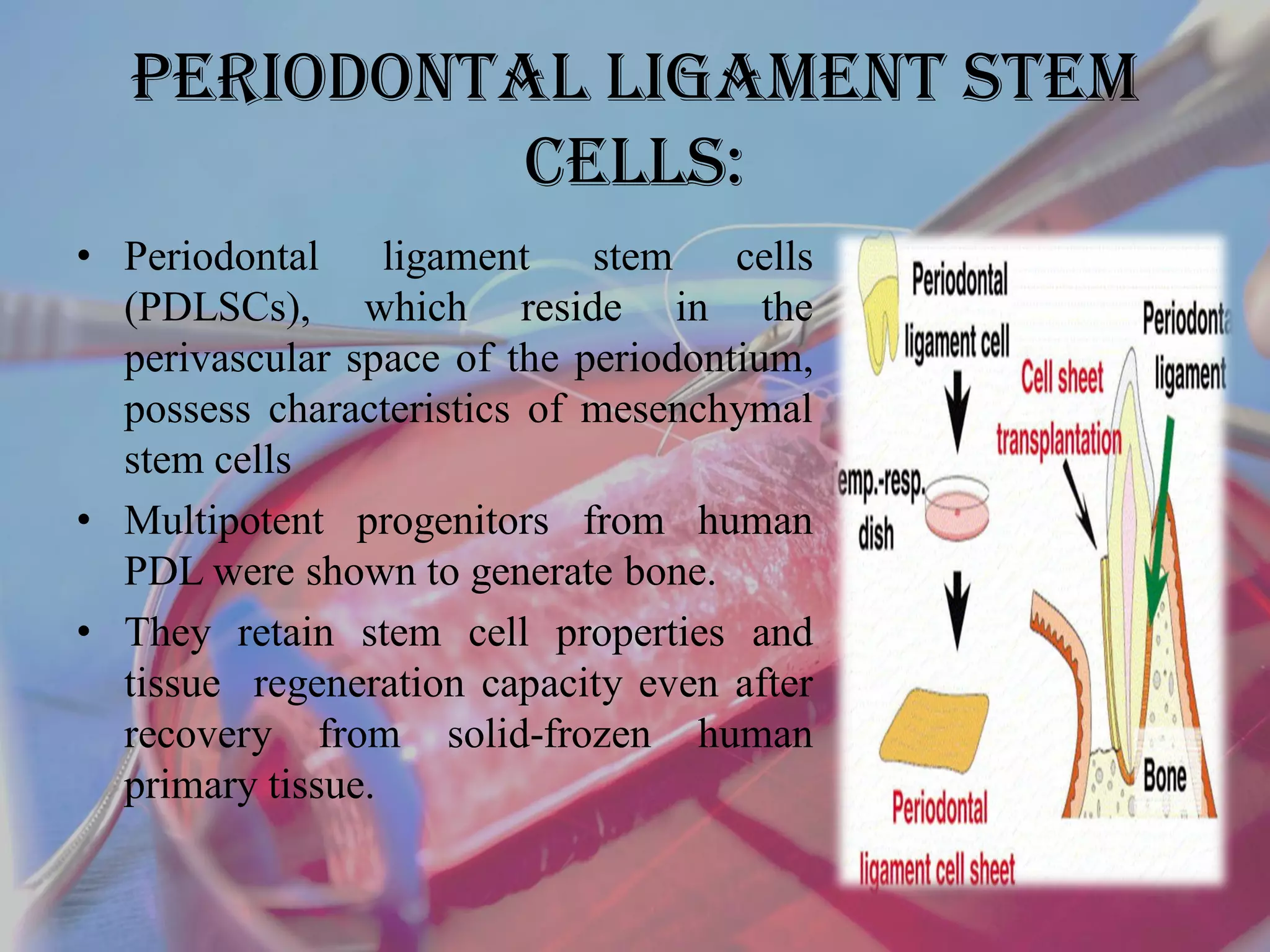 Tissue engineering in periodontics | PDF