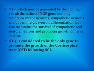 Tissue engineering in the repair of spinal cord | PPTX