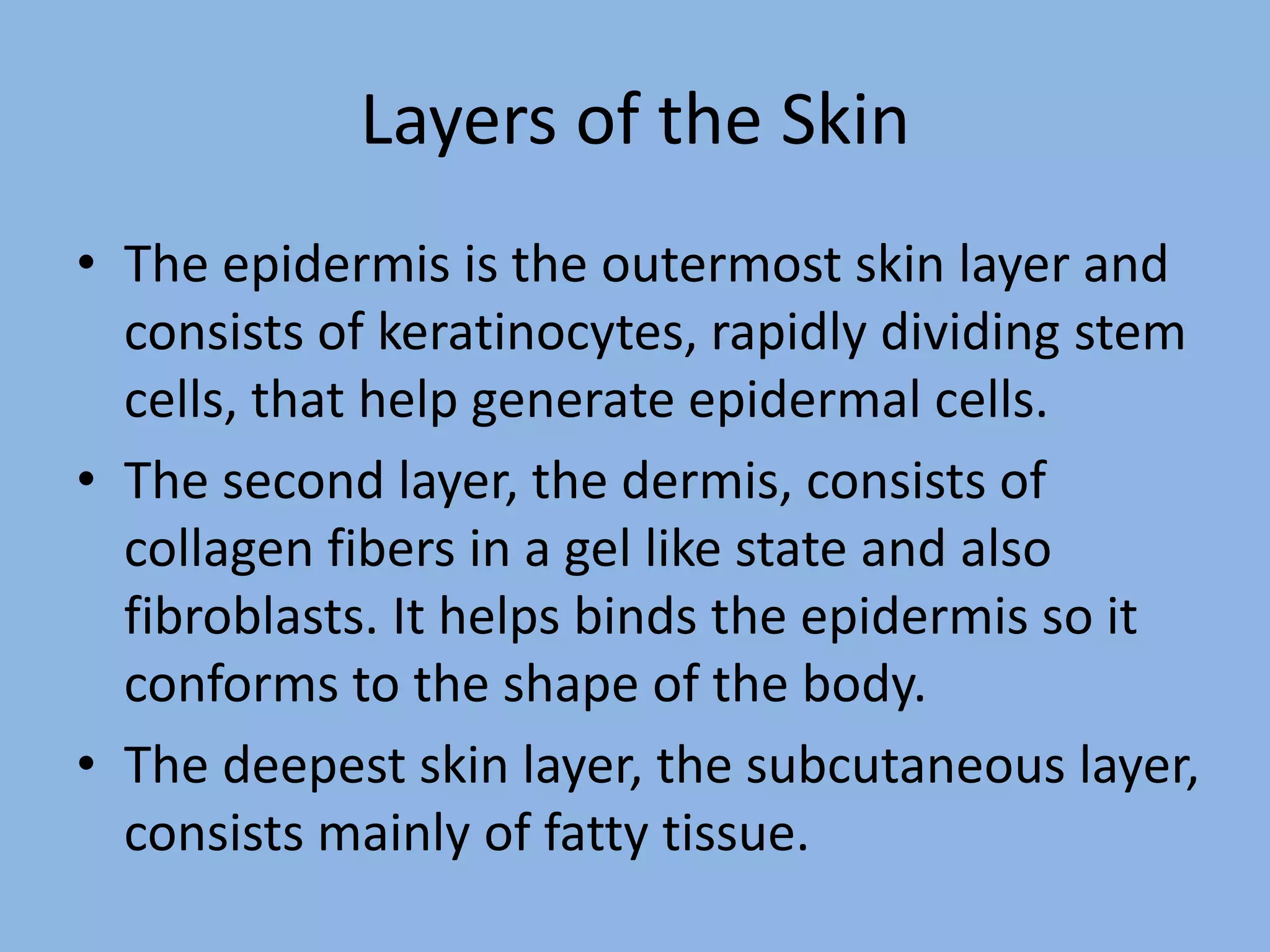 Tissue Engineering of the Skin.ppt