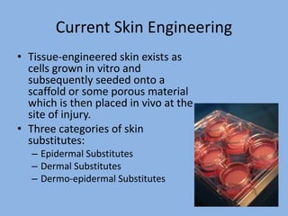 Tissue Engineering of the Skin.ppt
