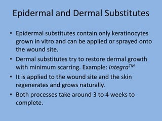 Tissue Engineering of the Skin.ppt