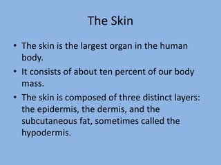 Tissue Engineering of the Skin.ppt