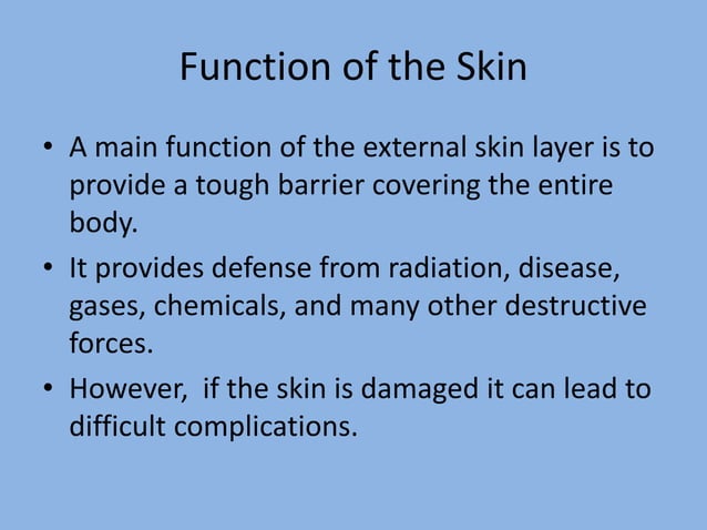 Tissue Engineering of the Skin.ppt