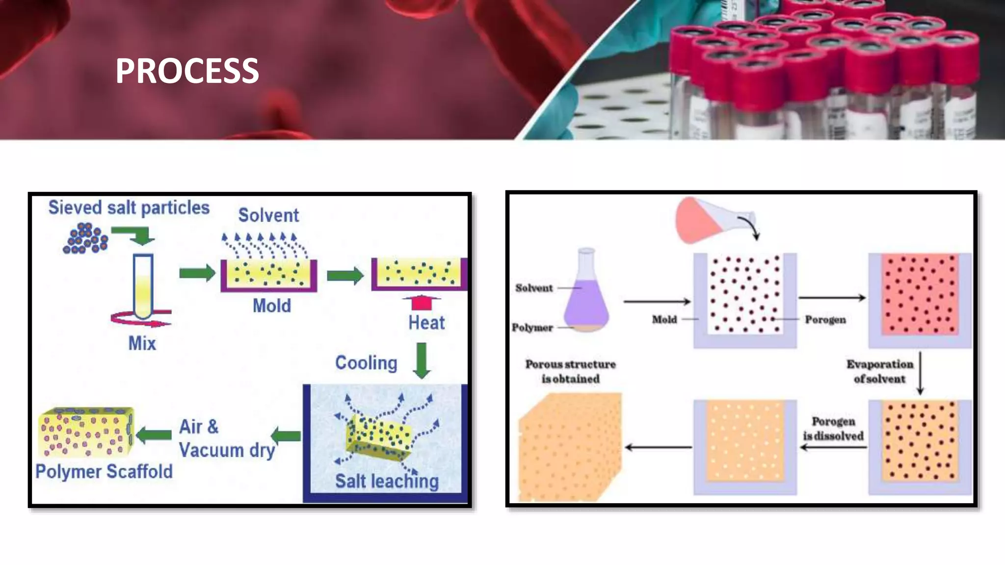 Tissue Engineering Solvent Casting Particulate Leaching And Selective Laser Sintering Pptx