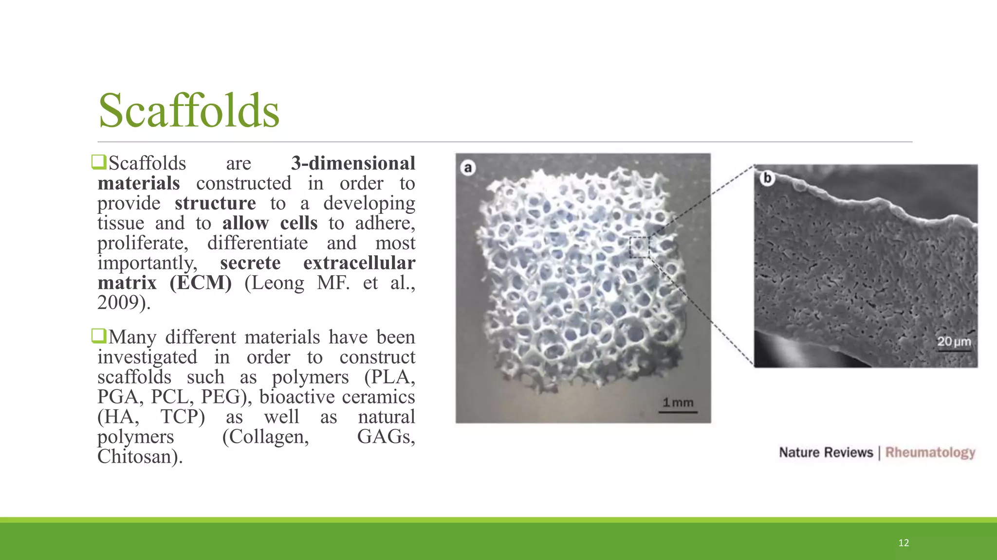 Tissue Engineering: Scaffold Materials | PPTX