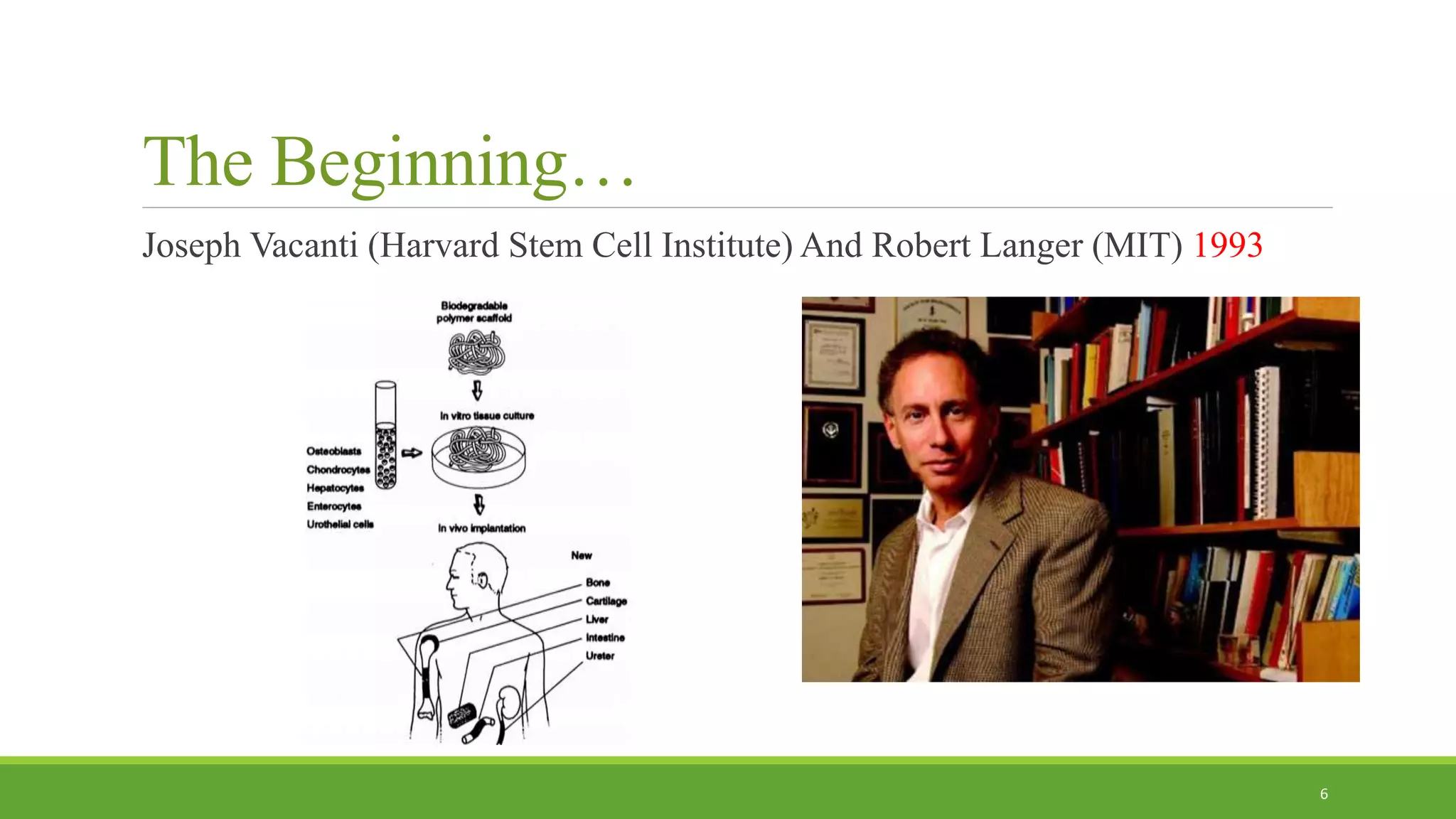 Tissue Engineering: Scaffold Materials | PPTX