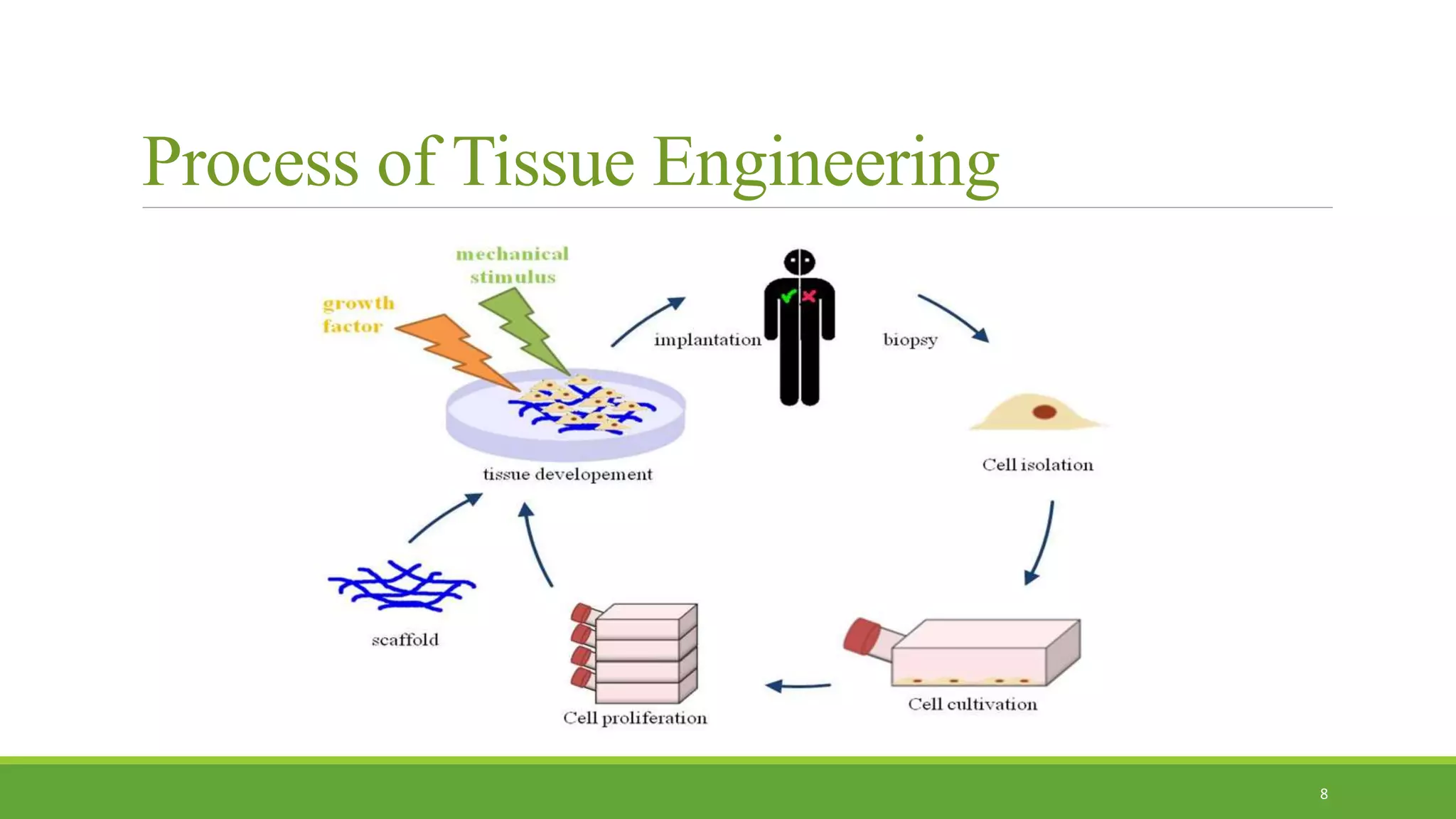 Tissue Engineering: Scaffold Materials | PPTX