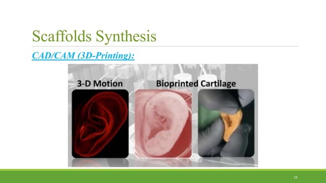Tissue Engineering: Scaffold Materials | PPTX | Biotech and Biomedical ...