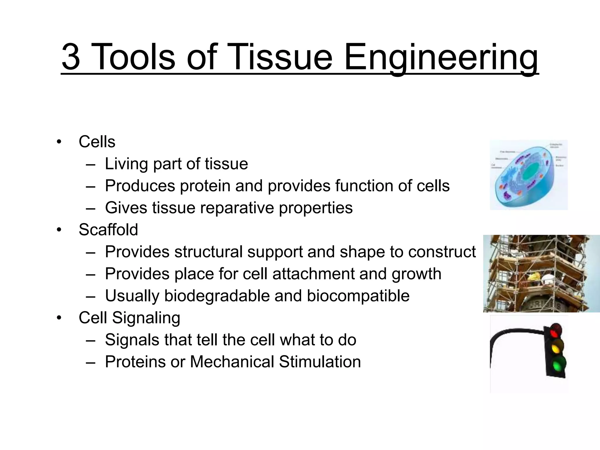 Tissue Engineering & Regenerative Medicine | PPTX