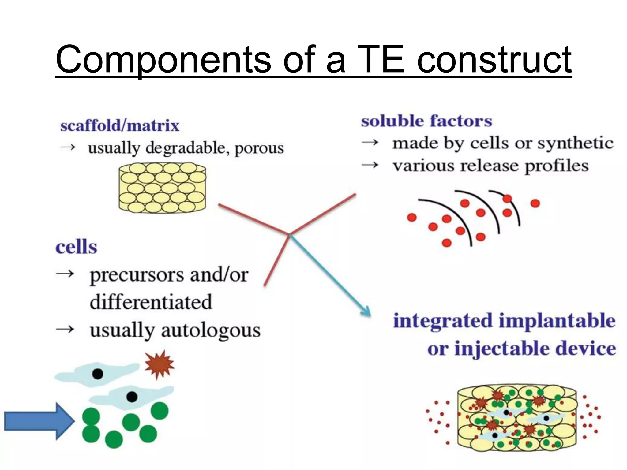 Tissue Engineering & Regenerative Medicine | PPTX