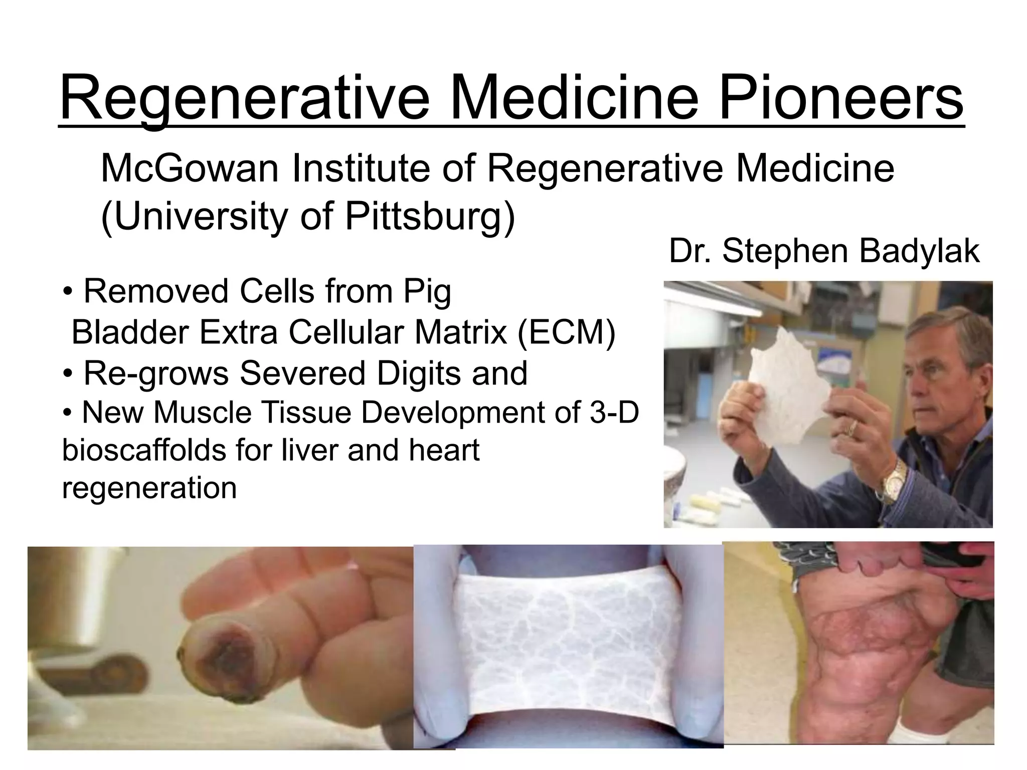 Tissue Engineering & Regenerative Medicine | PPTX