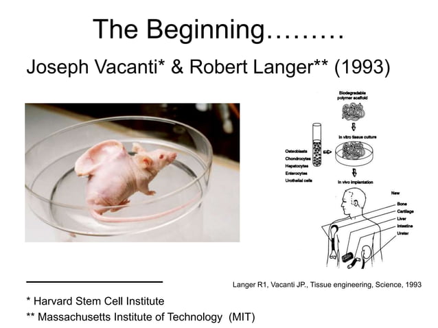 Tissue Engineering & Regenerative Medicine | PPTX | Surgery | Medical ...