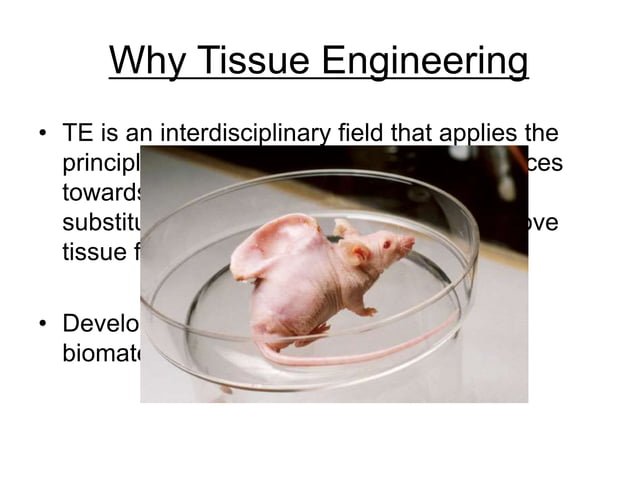 Tissue Engineering & Regenerative Medicine | PPTX | Surgery | Medical ...
