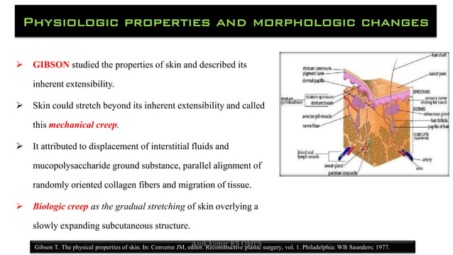 Tissue expander in omfs | PDF | Skin and Dermatology | Diseases and ...