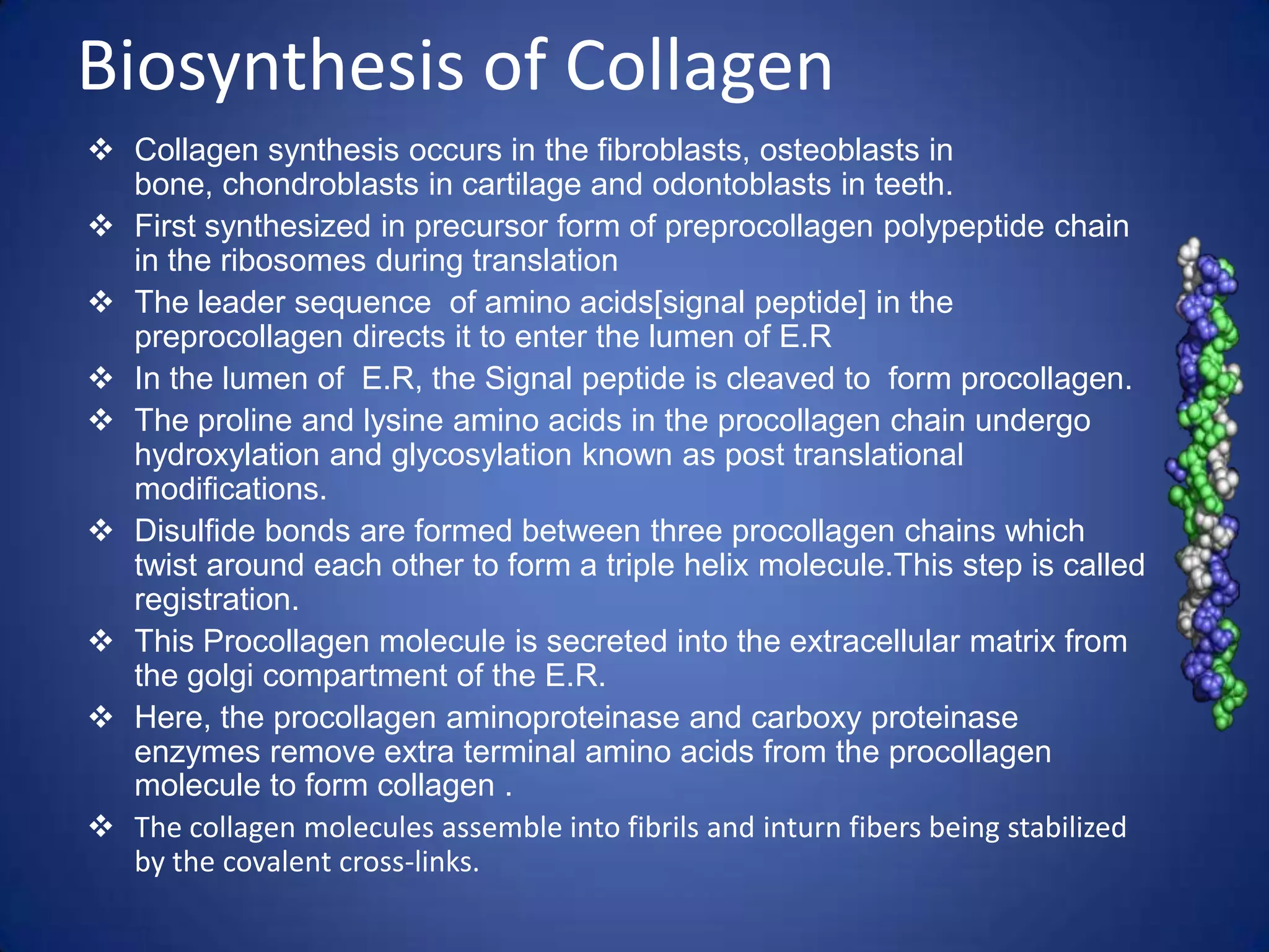 Collagen -Structure and Function | PDF