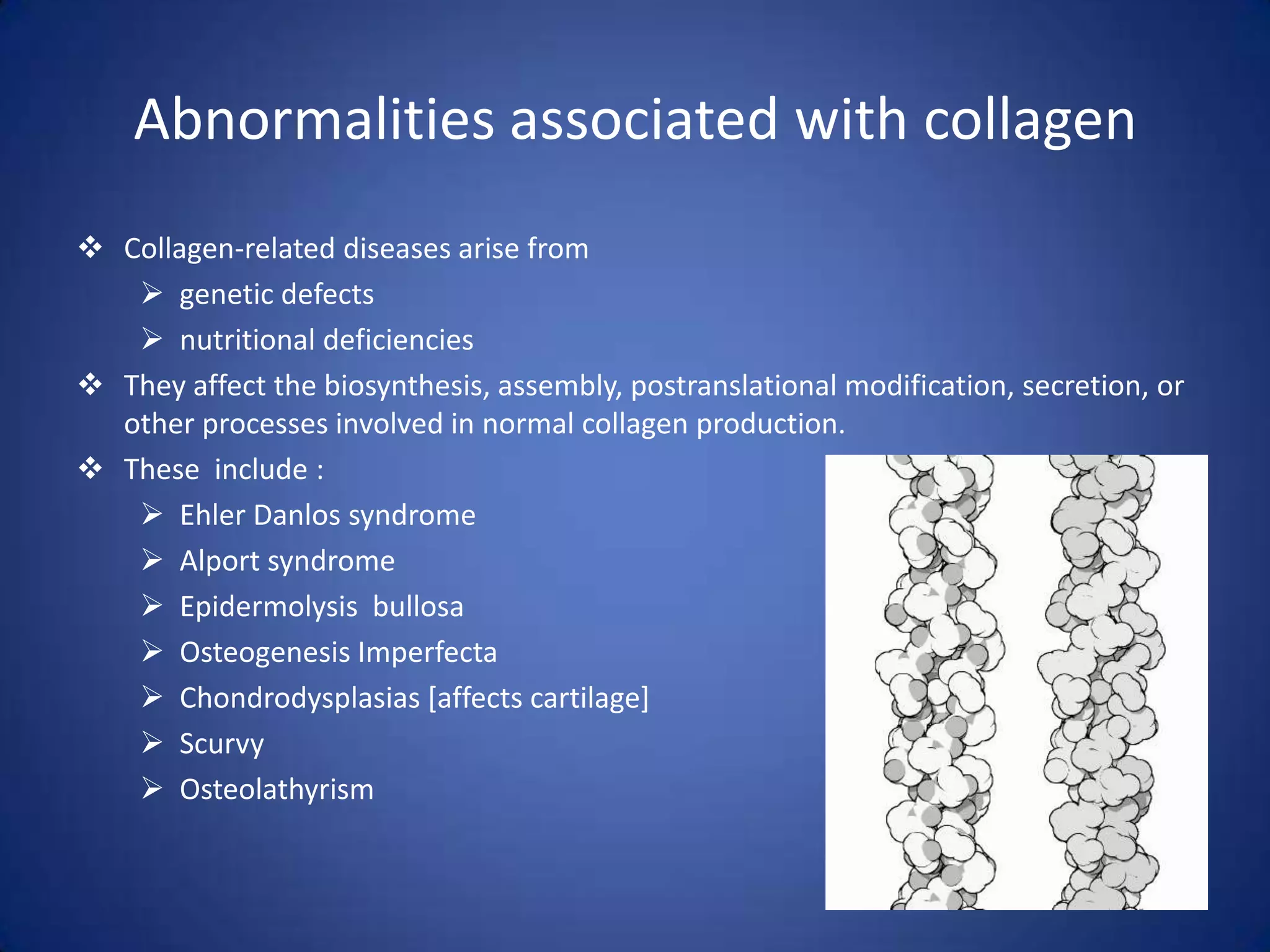 Collagen -Structure and Function | PDF