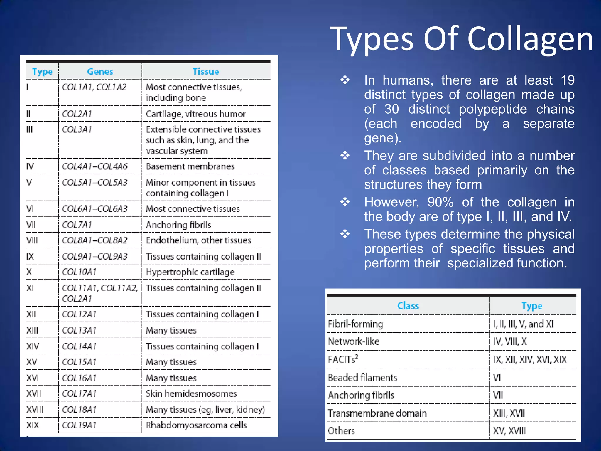 Collagen -Structure and Function | PDF