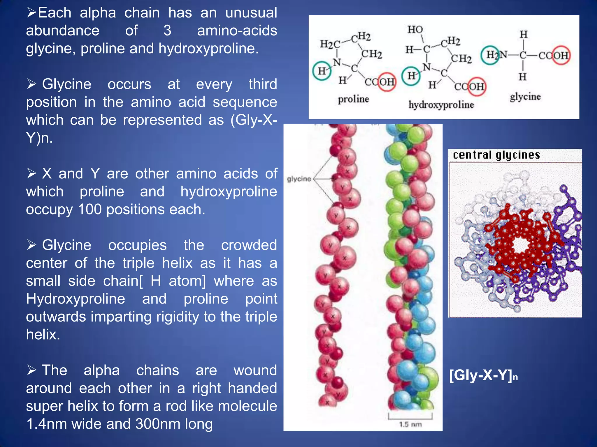 Collagen -Structure and Function | PDF