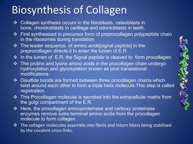 Collagen -Structure and Function | PDF | Chemistry | Science