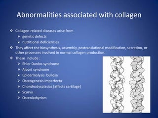 Collagen -Structure and Function | PDF