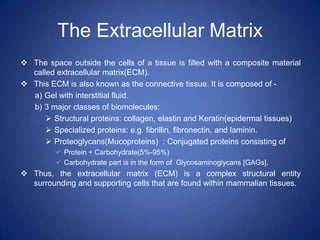 Collagen -Structure and Function | PDF