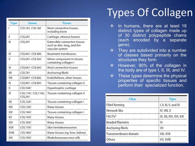 Collagen -Structure and Function | PDF | Chemistry | Science