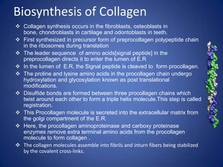 Collagen! - The connective Tissue Protein | PPTX