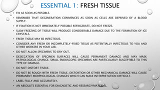 Tissue fixation | Histotechniques | abdul quddus | PPTX