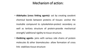 Tissue Fixation Histopathology | PPTX