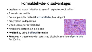 Tissue Fixation Histopathology | PPTX