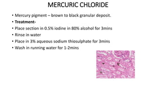 Tissue Fixation Histopathology | PPTX