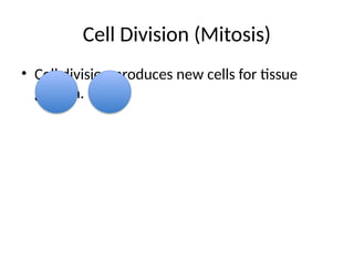Tissue_Formation_with_Diagrams and .pptx